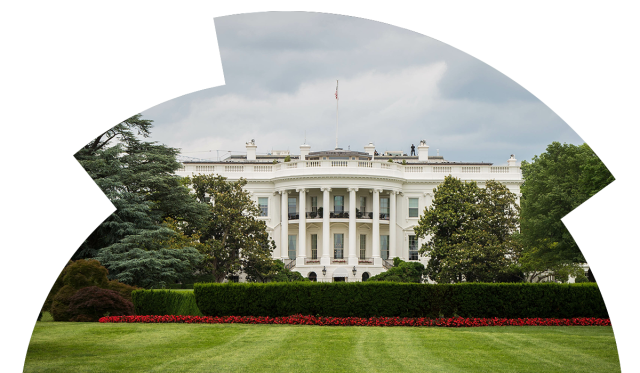 Spidell Home Page - Spidell